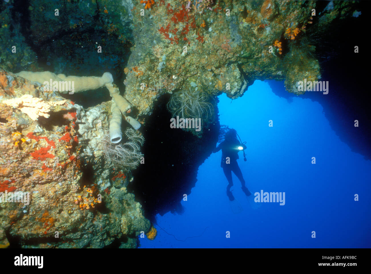 SCUBA diver entering underwater cave in the Southern Philippines near ...