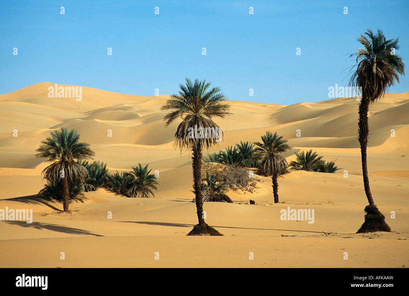 Ramlat dawada hi-res stock photography and images - Alamy