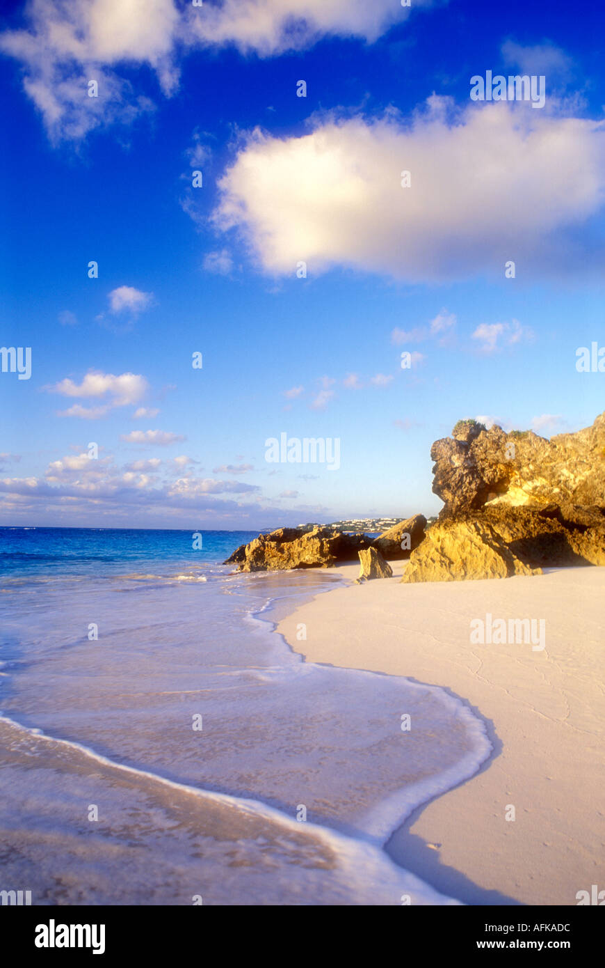 Shoreline on tropical beach on the island of Bermuda Stock Photo - Alamy