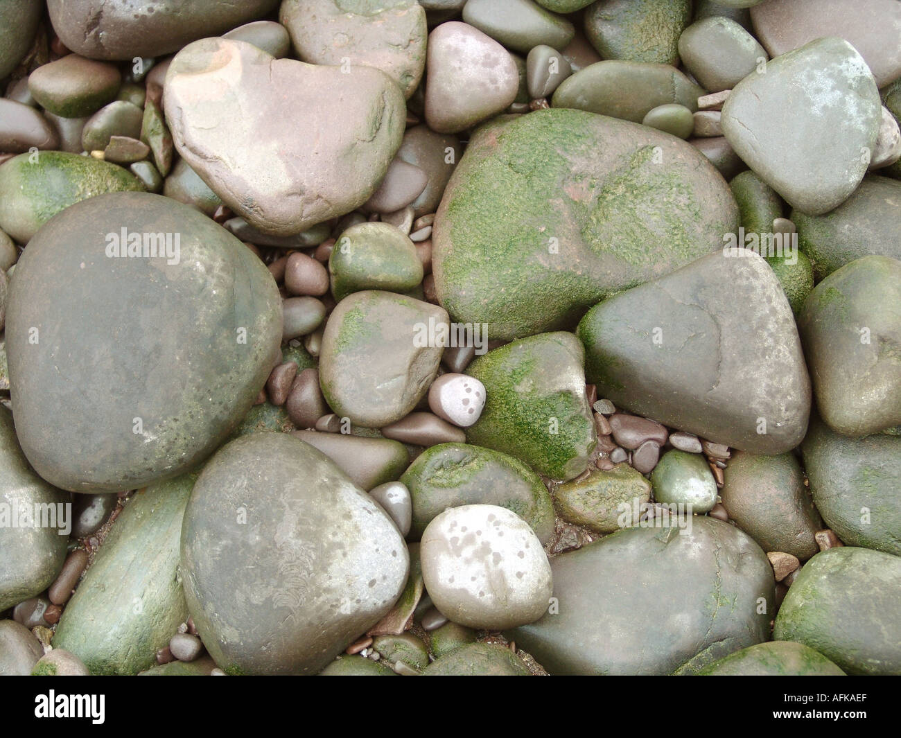 Pebbles on a beach England UK 2004 Stock Photo - Alamy