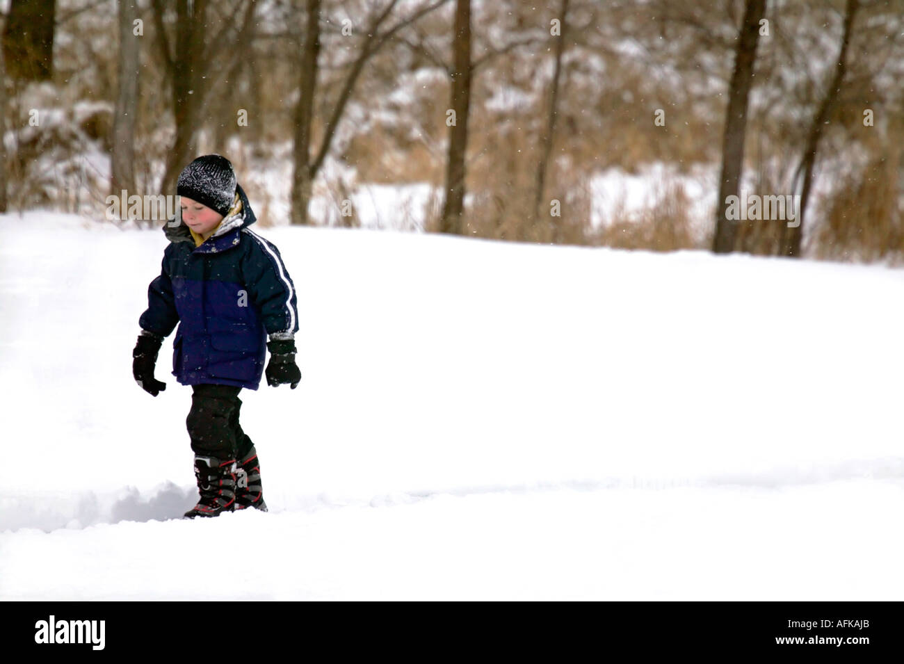 Forest clean up children hi-res stock photography and images - Alamy