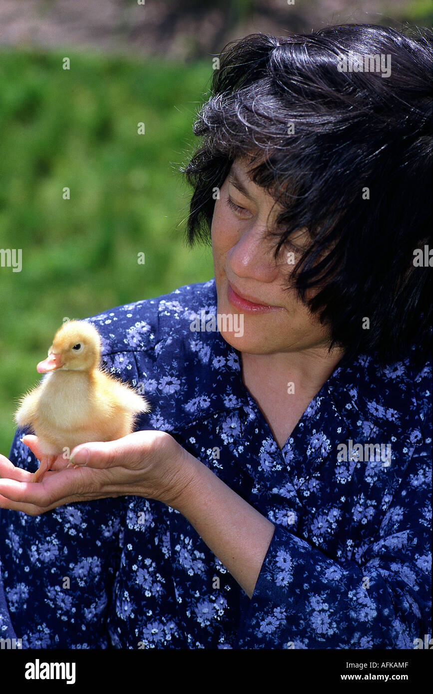 Lady duck hi-res stock photography and images - Alamy