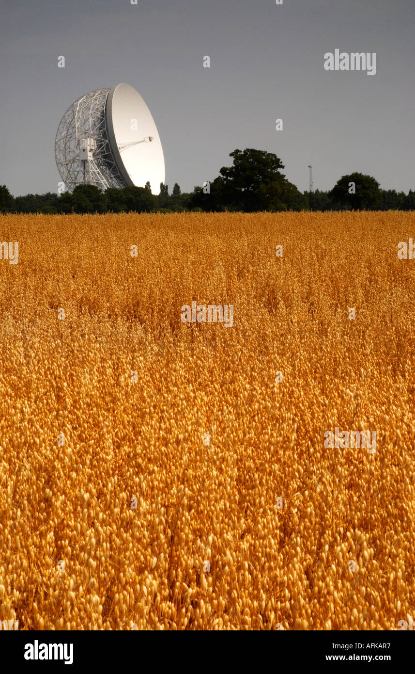 Bank field hi-res stock photography and images - Alamy
