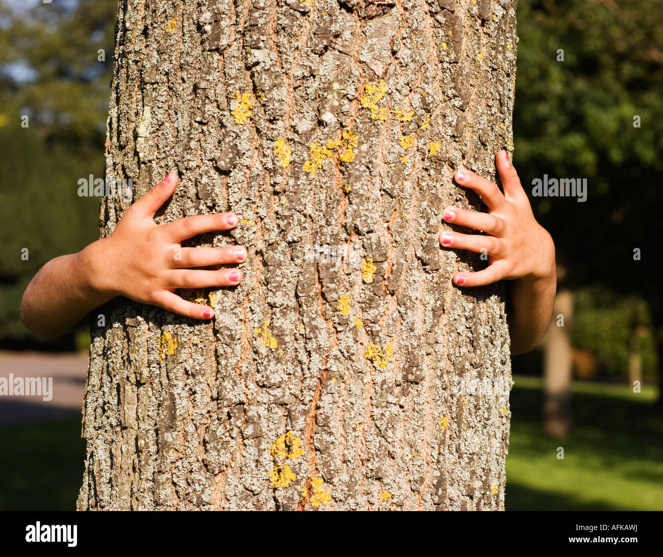 child hugging a tree Stock Photo - Alamy