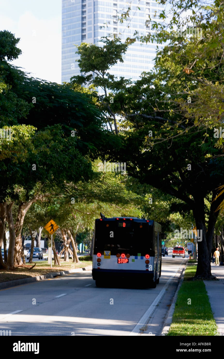 Bus driving down tree-lined street in miami Stock Photo - Alamy