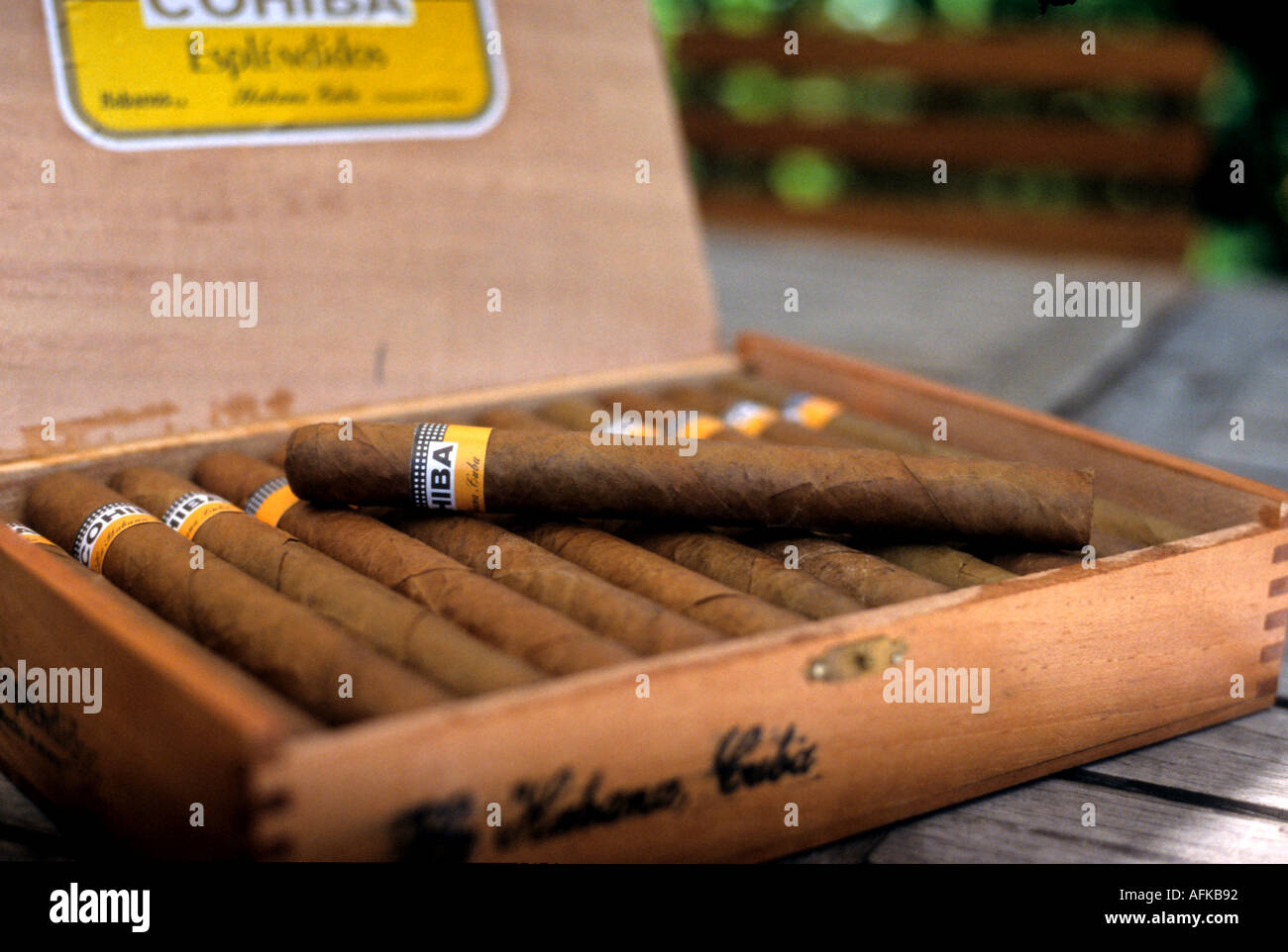 Couple smoke cigars hi-res stock photography and images - Alamy
