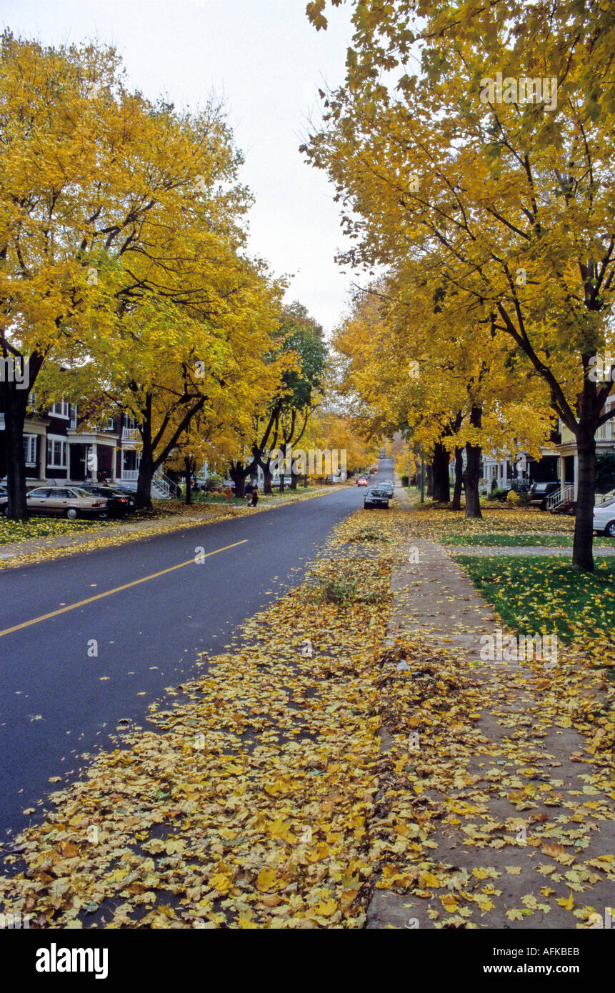 Montreal street in autumn Stock Photo - Alamy