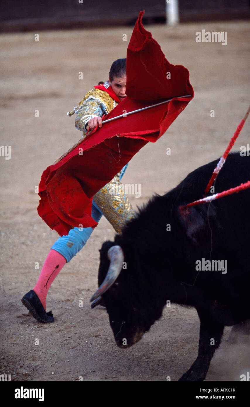 A matador goads the bull to charge with her cape during a bullfight in ...
