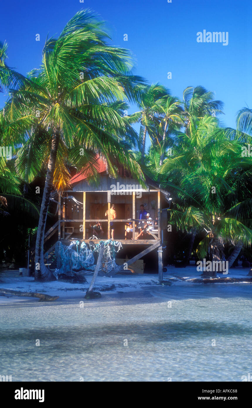 Among the palmtrees hi-res stock photography and images - Alamy