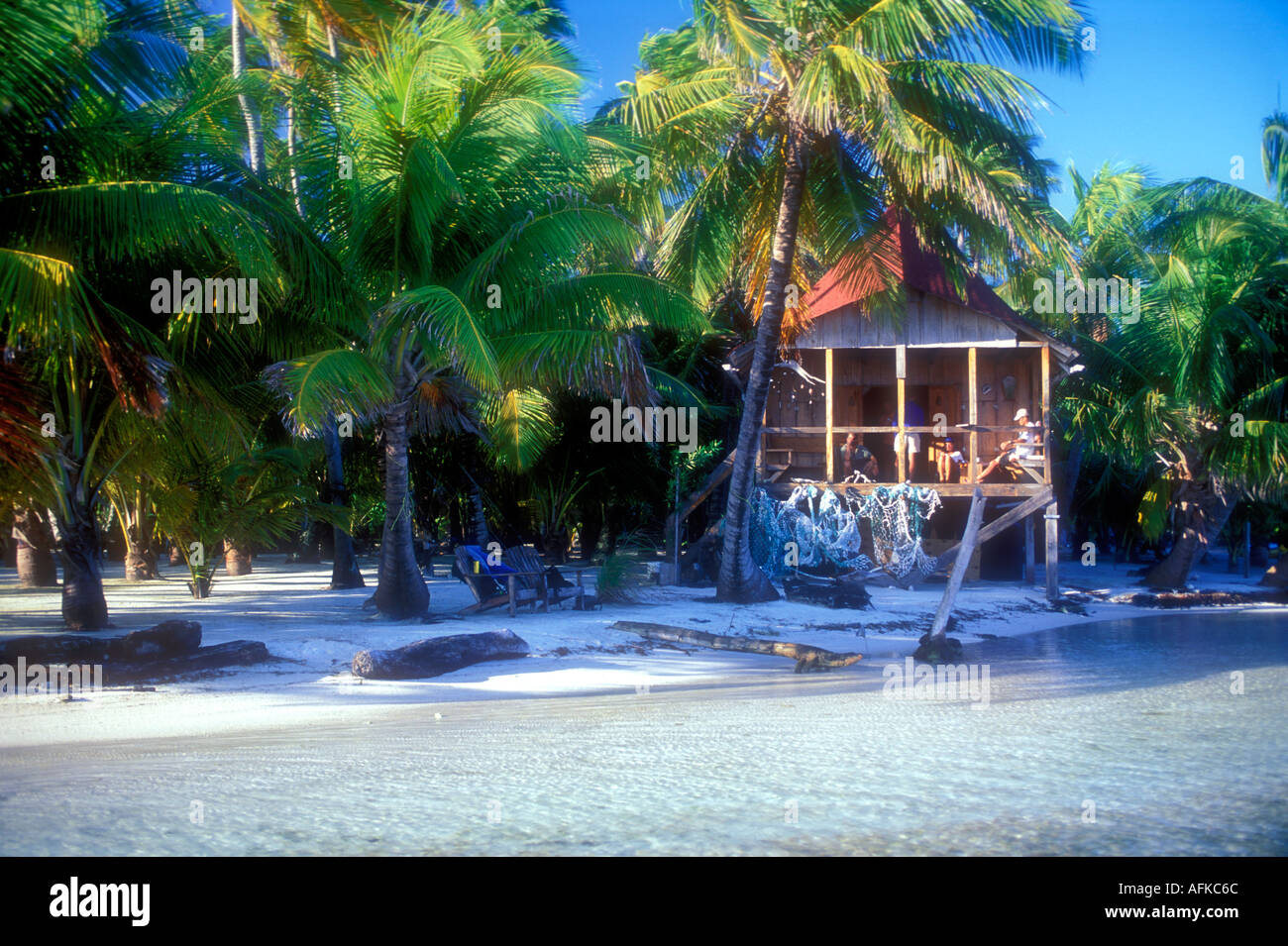 Among the palmtrees hi-res stock photography and images - Alamy