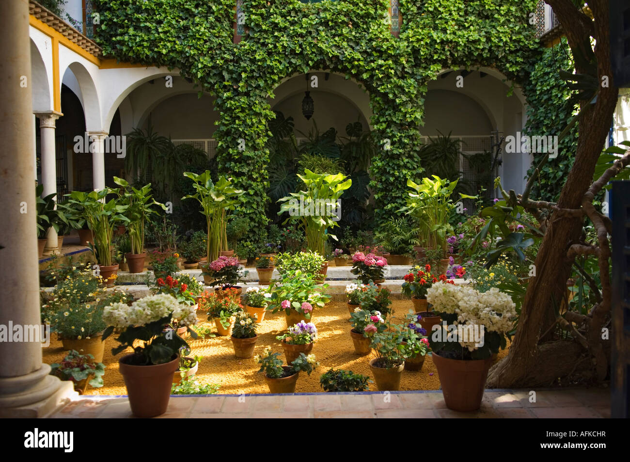 Carefully arrayed flower pots in the beautifully decorated courtyard of ...
