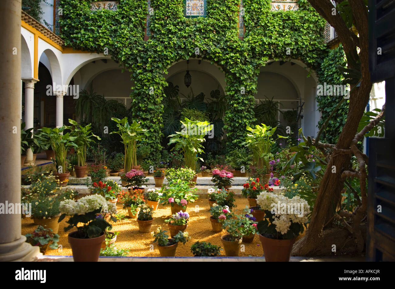 Patio courtyard seville flower hi-res stock photography and images - Alamy
