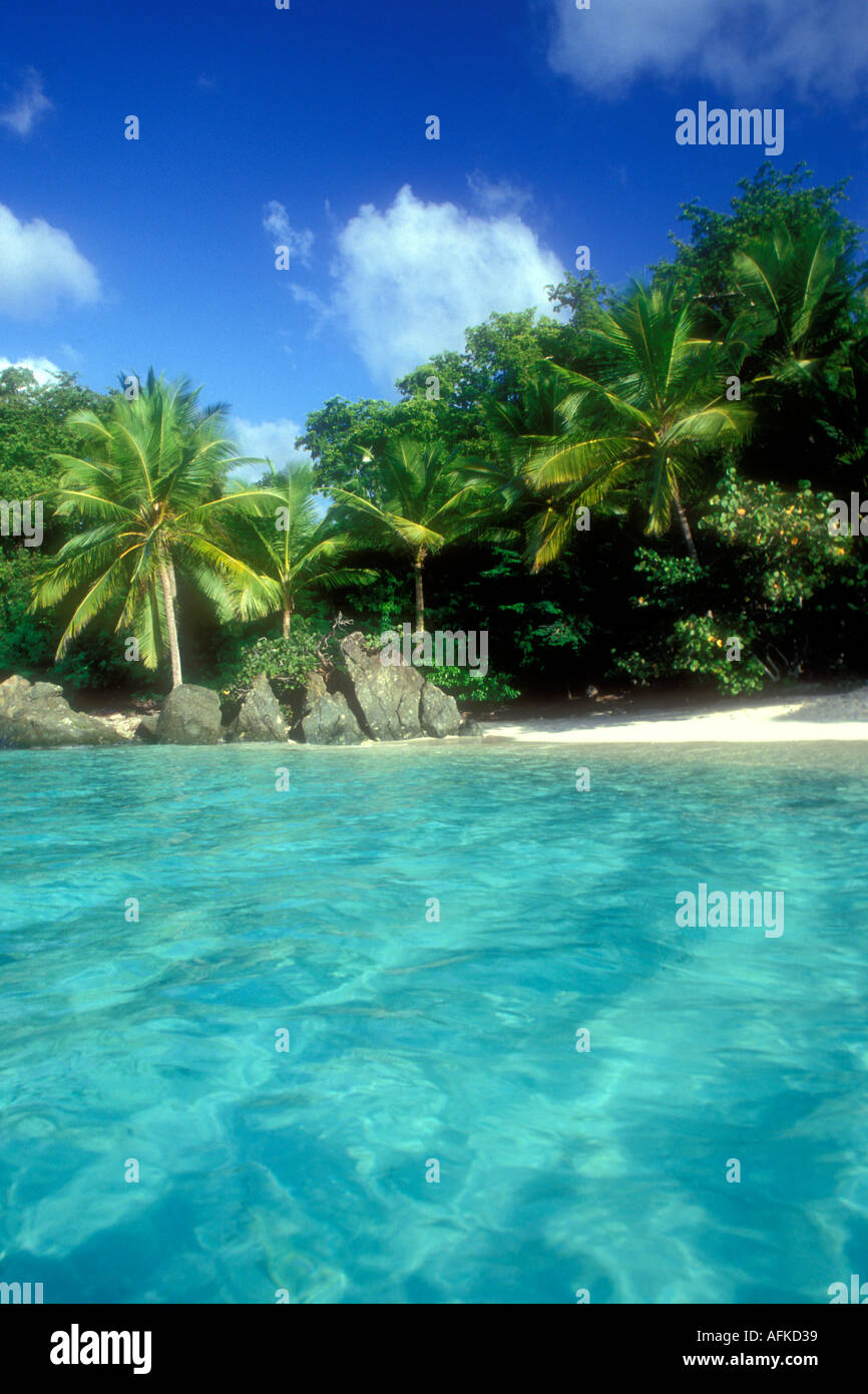 Palm trees on tropical beach on the island of St John in the United ...