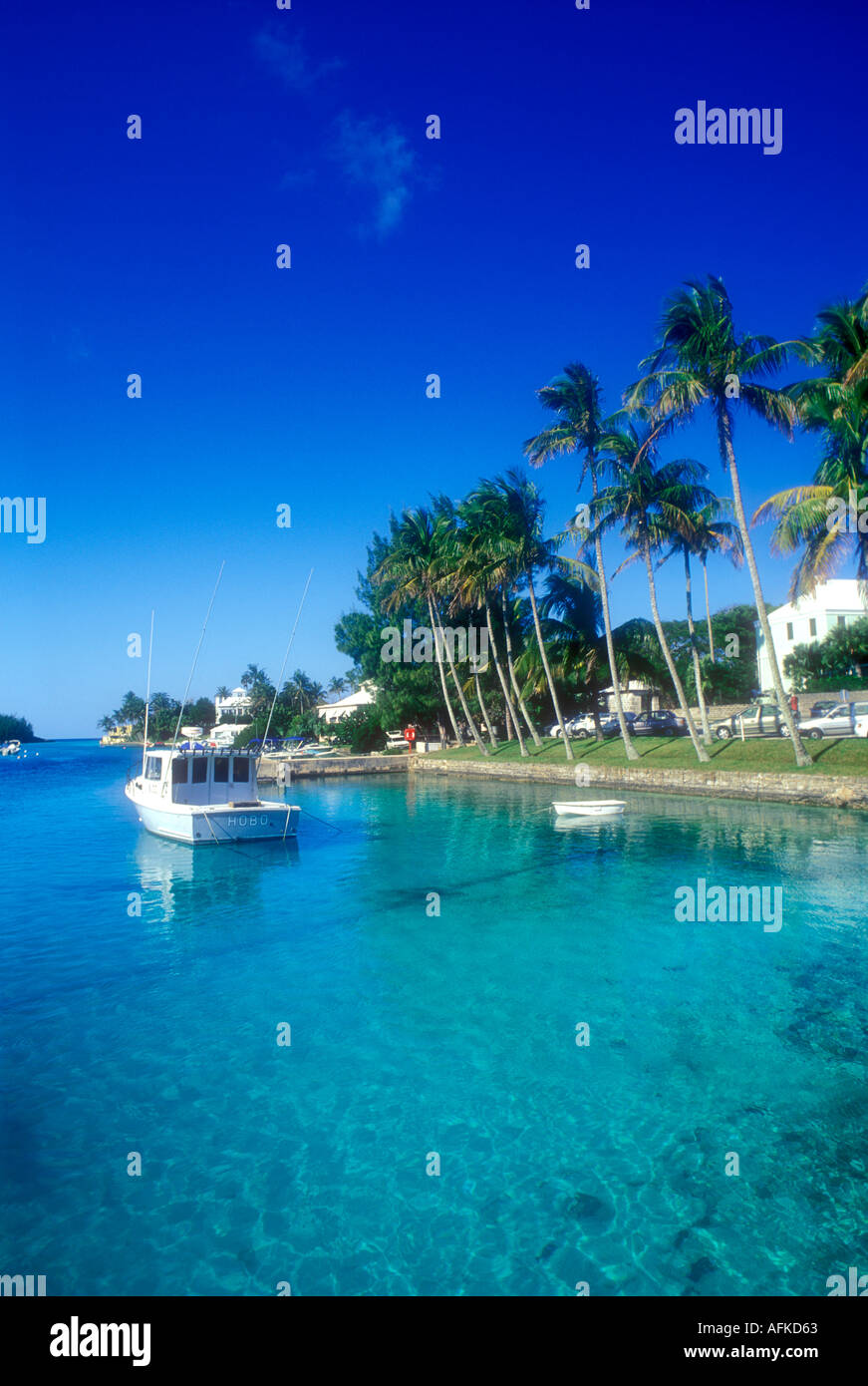 Palm trees along waterfront in Flatts Inlet Bermuda Stock Photo - Alamy