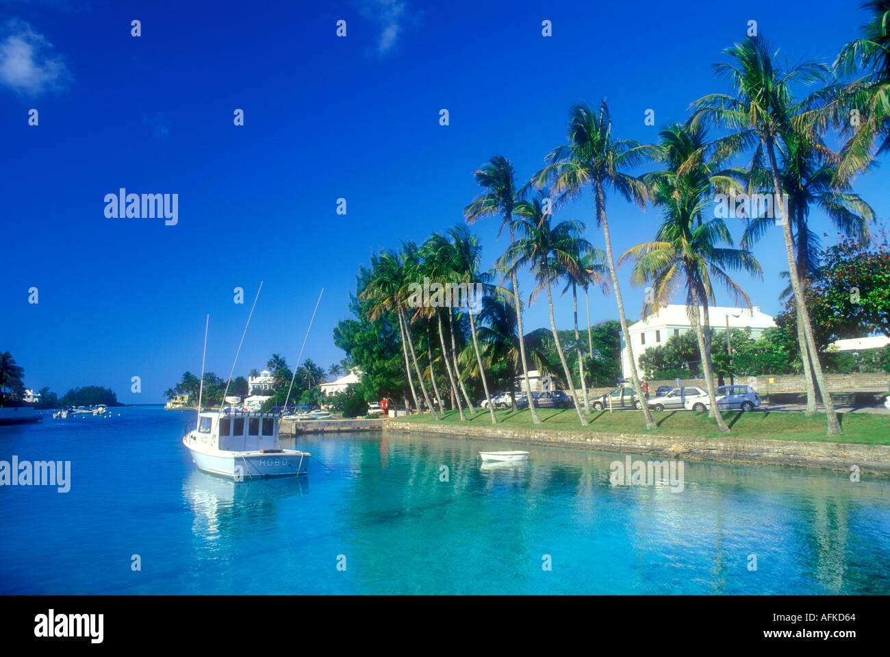 Palm trees along waterfront in Flatts Inlet Bermuda Stock Photo - Alamy