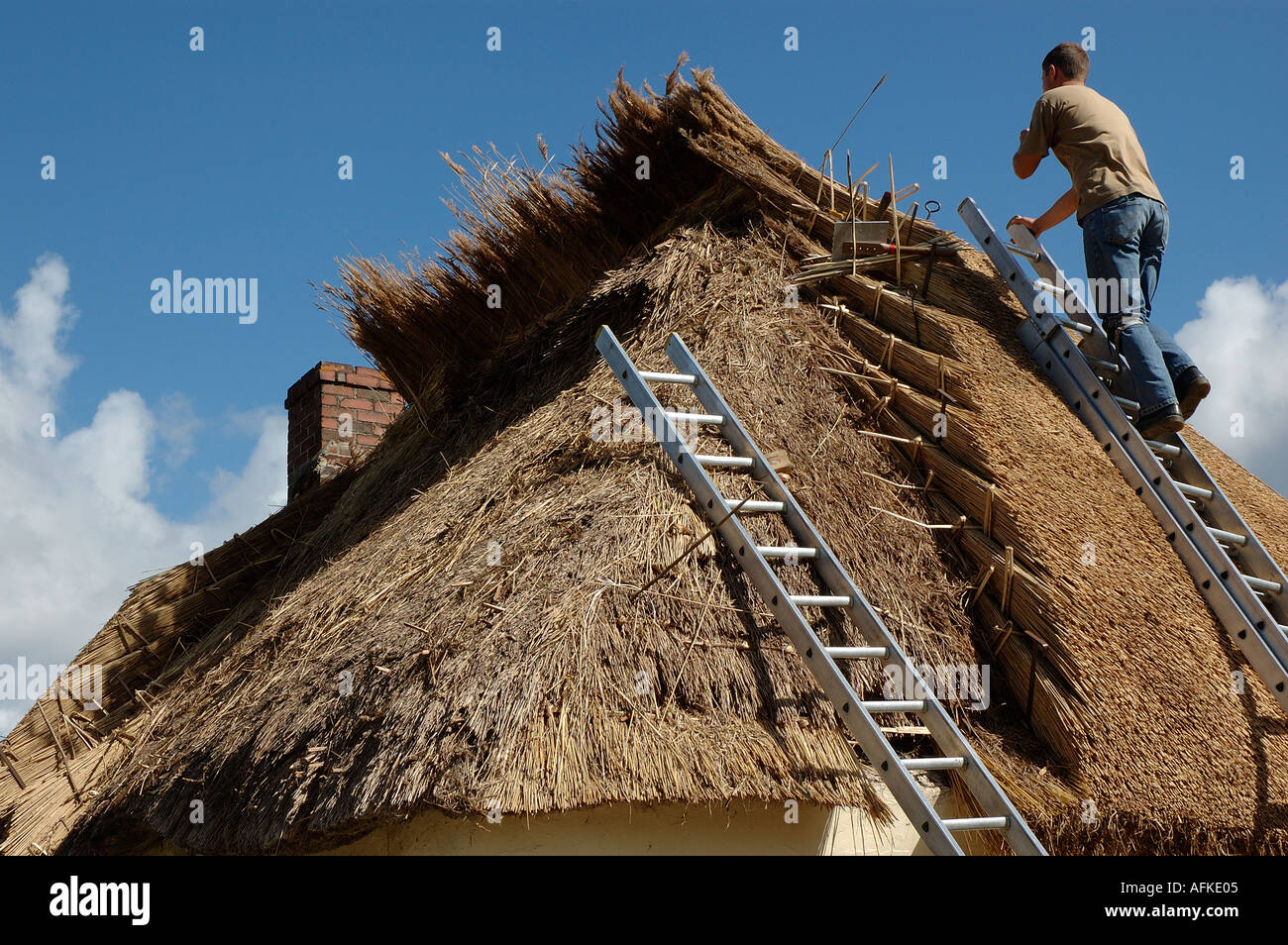 Thatching a wattle and daub cottage in Dorset England Stock Photo - Alamy