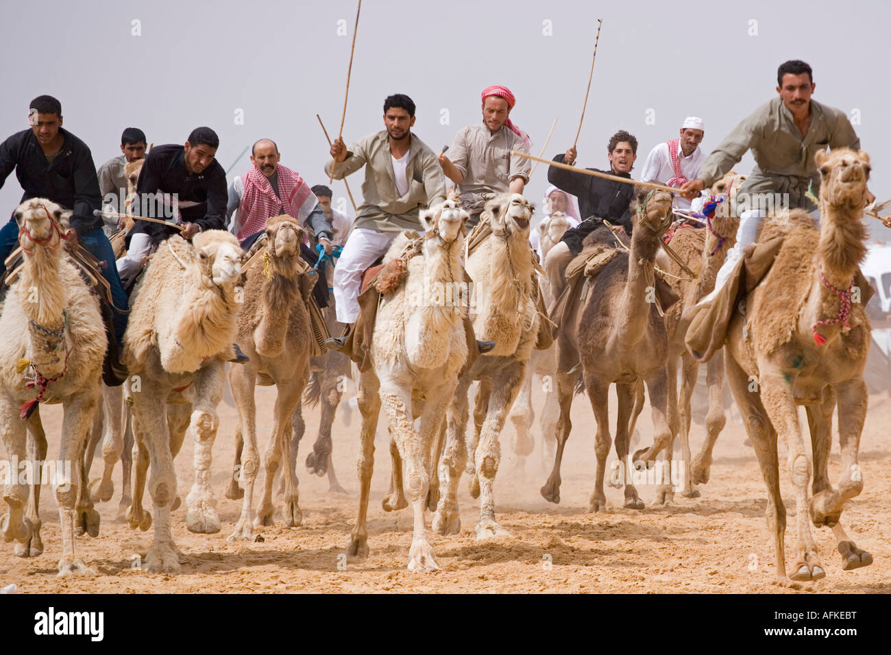 A camel race gets underway at Palmyra's 5km long racetrack. The races ...