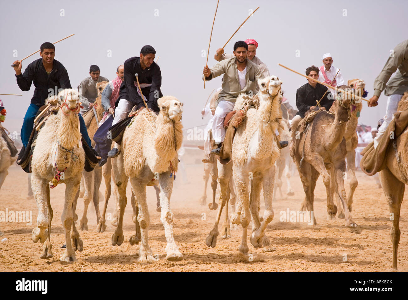 A camel race gets underway at Palmyra's 5km long racetrack. The races ...