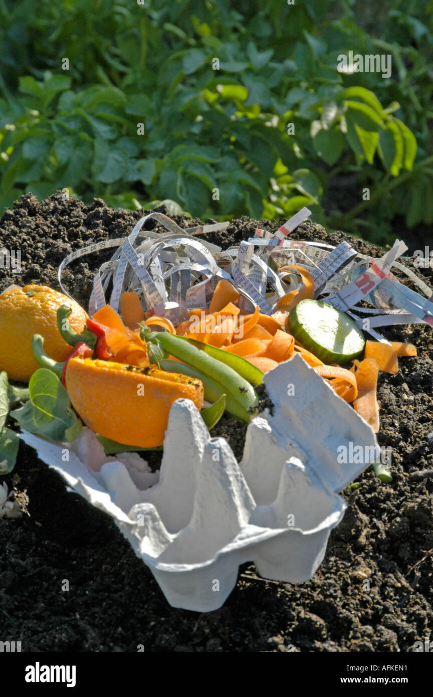 Kitchen waste for making compost with potato plants in the background ...