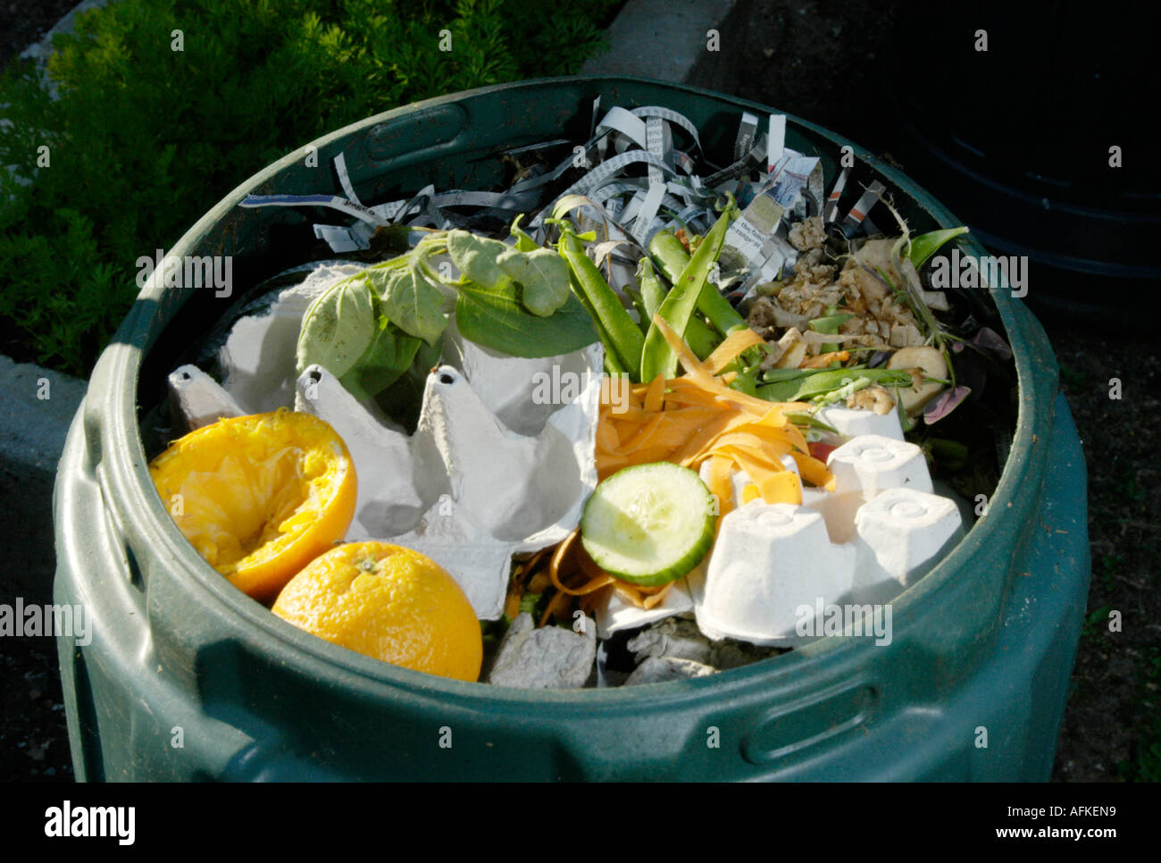 Kitchen waste in a garden compost bin Stock Photo - Alamy
