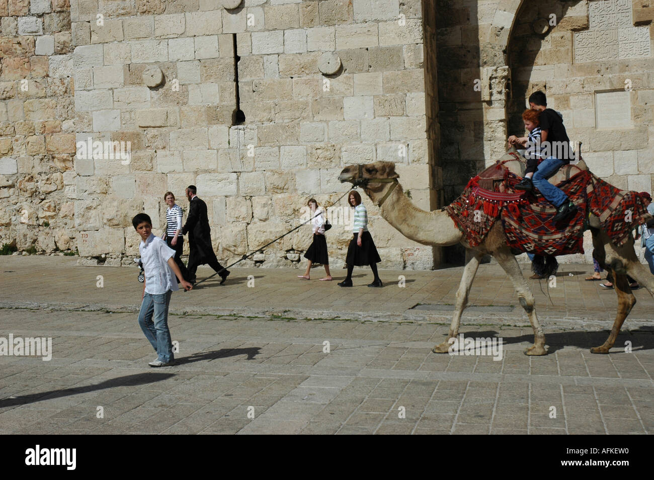 Camel riding israel hi-res stock photography and images - Alamy