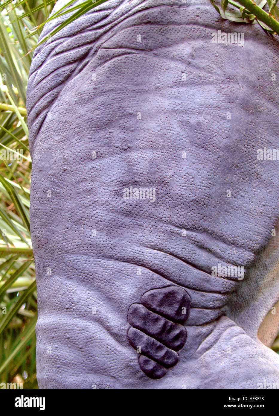 Fake rex tyrannosaurus dinosaur hi-res stock photography and images - Alamy