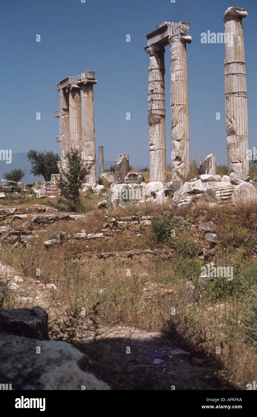 The Ionic columns of the Temple of Aphrodite at Aphrodisias in Turkey ...