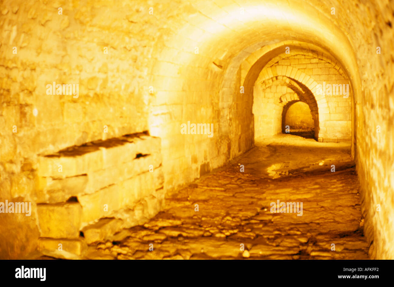 The medieval underground water cistern at Fontevraud l Abbaye ...