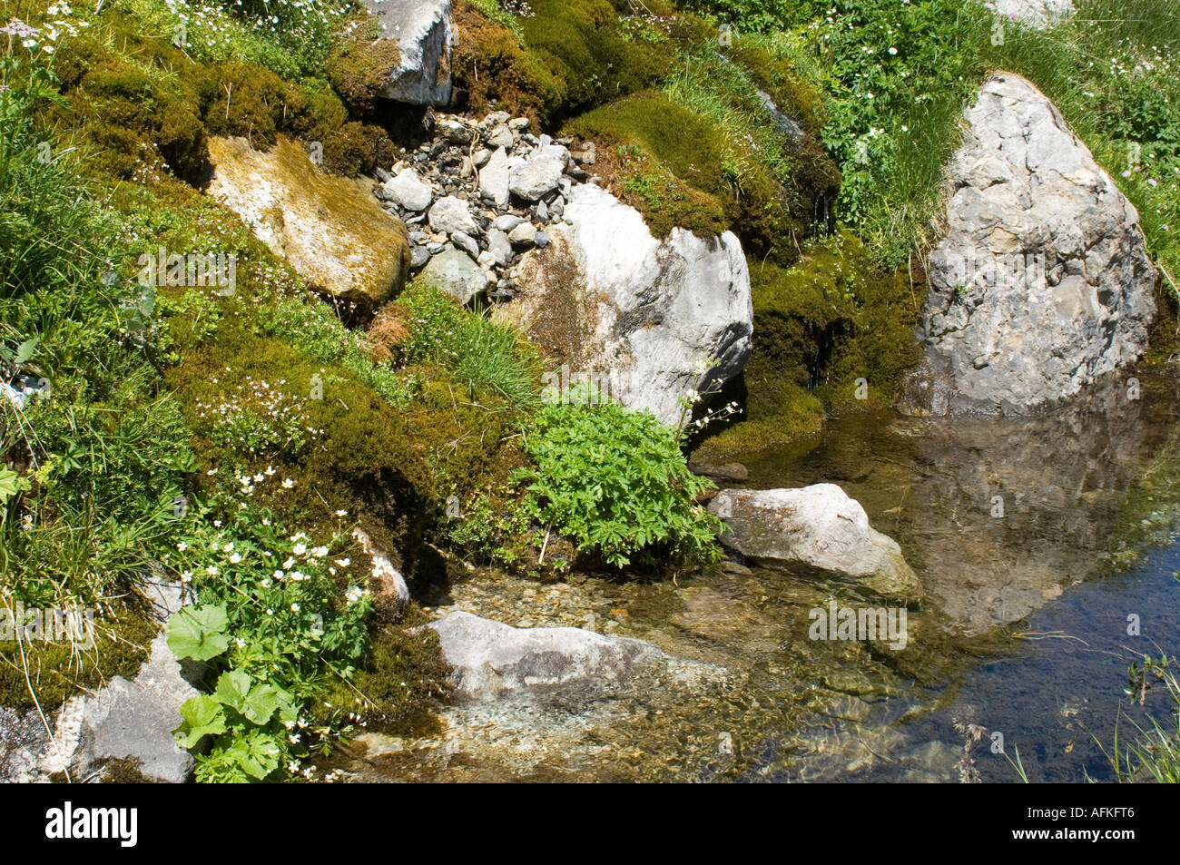 Mountain pool formed from clear spring water in the French alps Stock ...