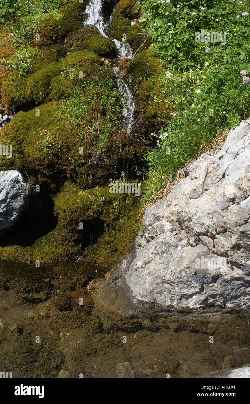 Clear mountain stream in the French alps Stock Photo - Alamy