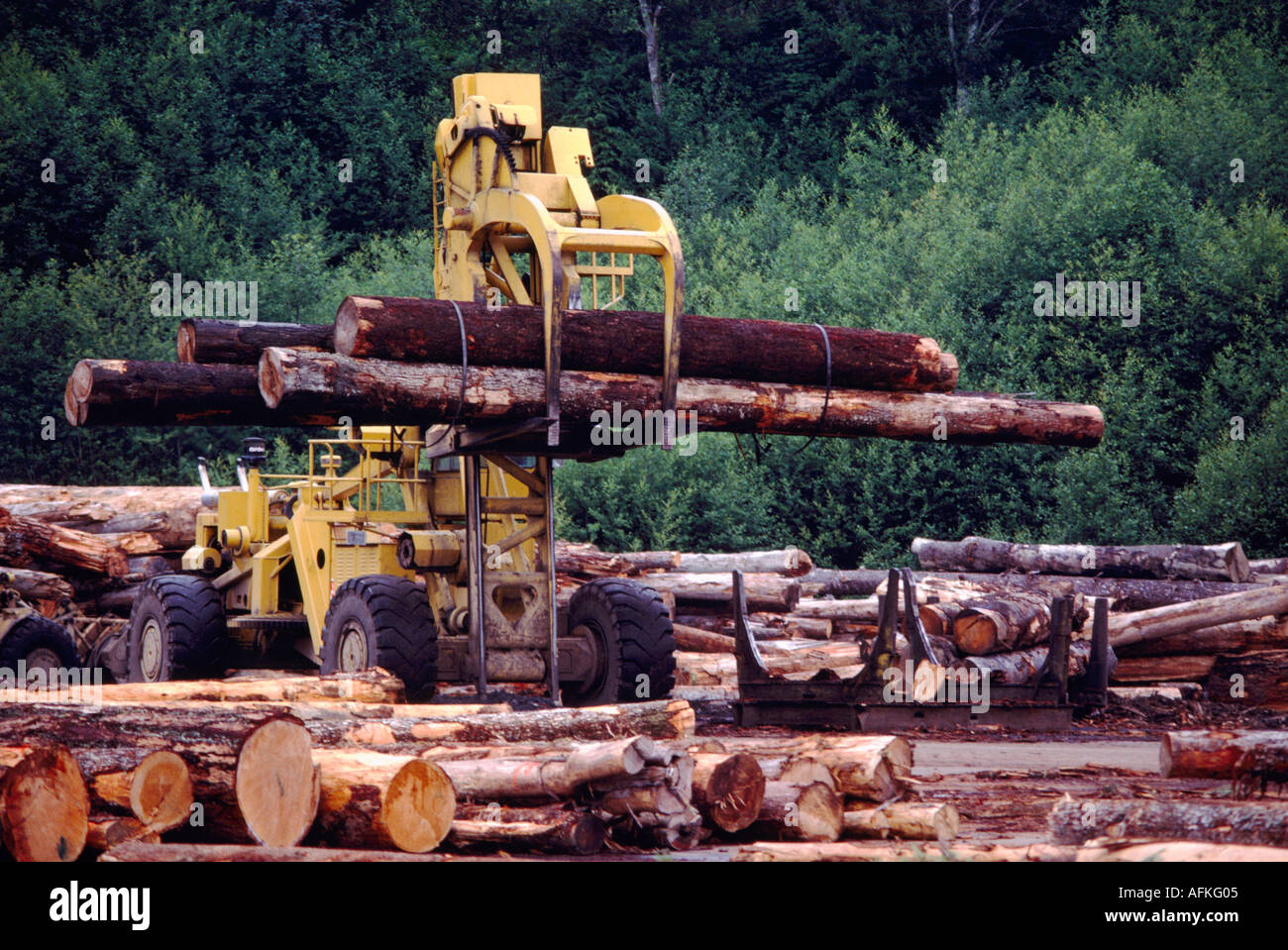 A Log Picker sorting Logs at a Sort Yard near Port Renfrew, BC ...