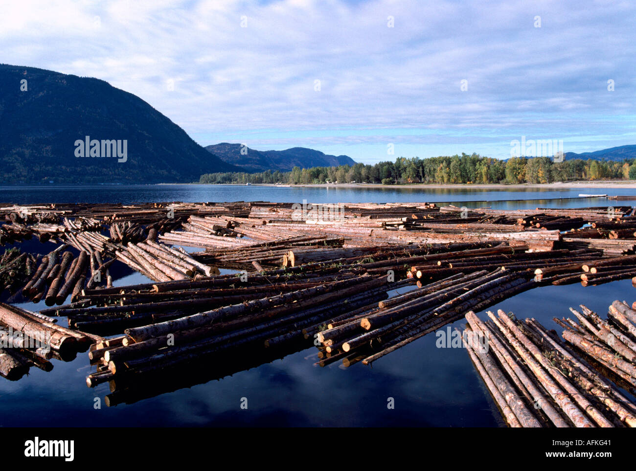 A Log Boom on Big Shuswap Lake near Salmon Arm British Columbia Canada ...