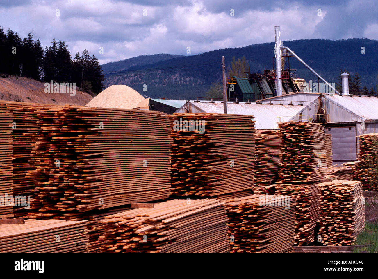 Stacks of Lumber piled at a Lumber Yard at a Sawmill in the Okanagan ...