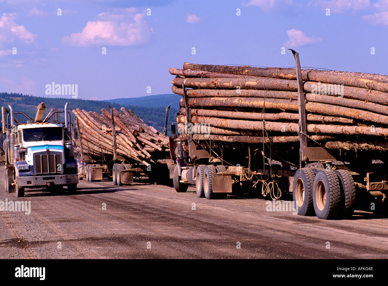 Loaded Logging Trucks waiting to dump Logs at a Log Yard in British ...