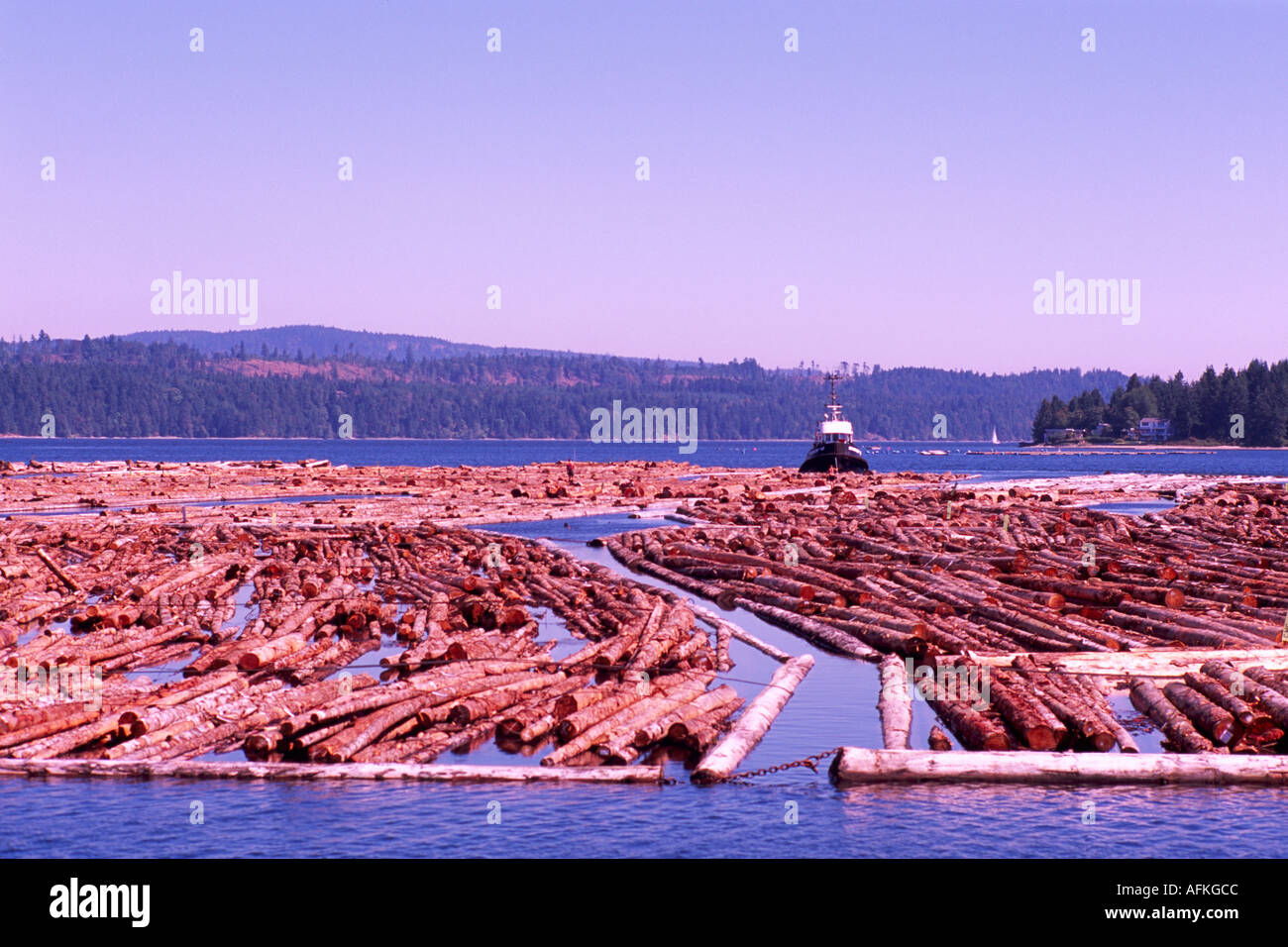 Log Boom guided by Tugboat on the Pacific Ocean in the Strait of ...