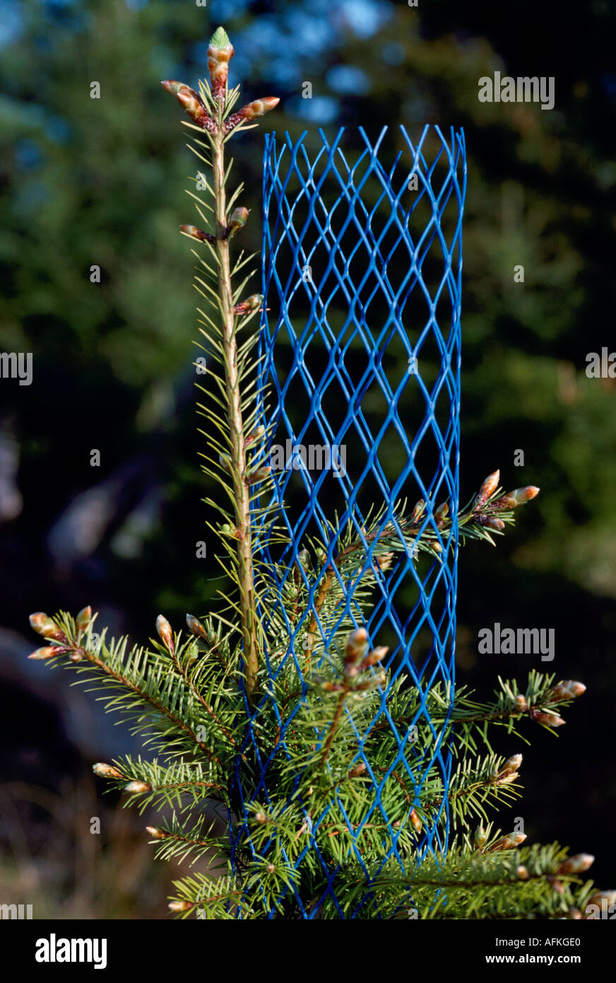 Protecting resource protection hi-res stock photography and images - Alamy