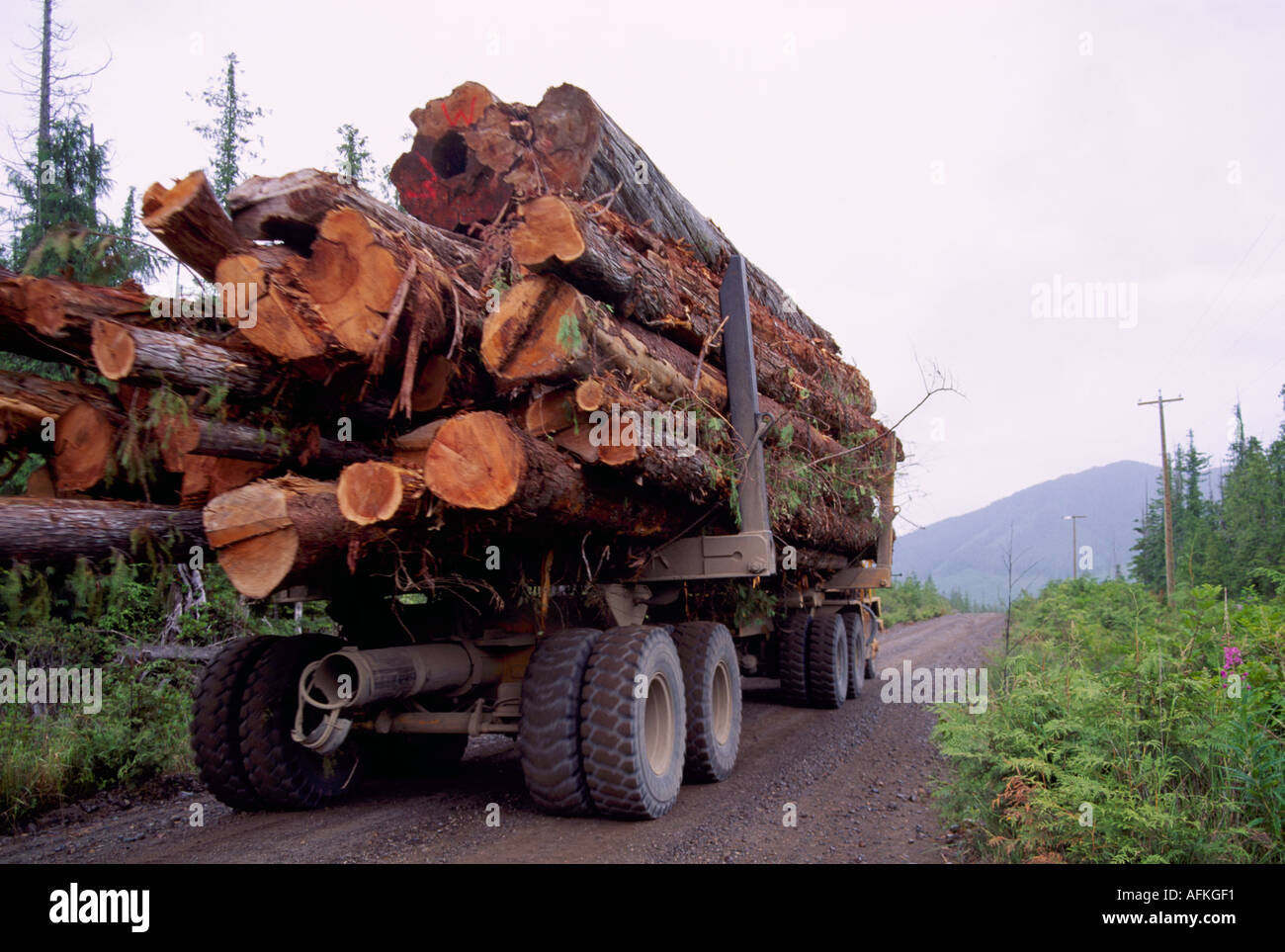 Timber logging truck pacific hi-res stock photography and images - Alamy