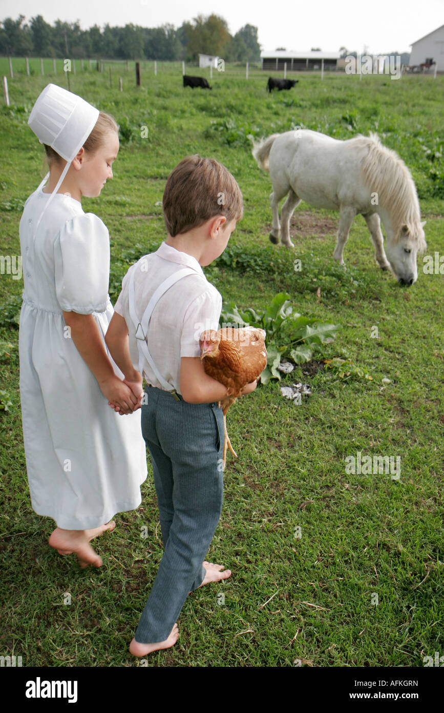 Amish farm tour hi-res stock photography and images - Alamy