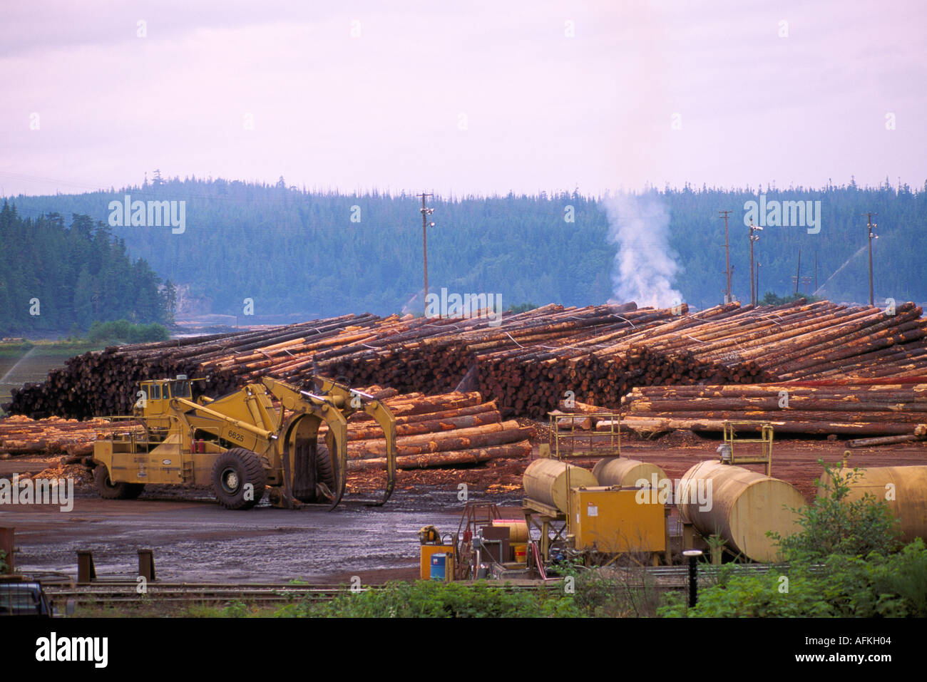 A Log Sorting Yard at "Beaver Cove" near Telegraph Cove on Vancouver ...