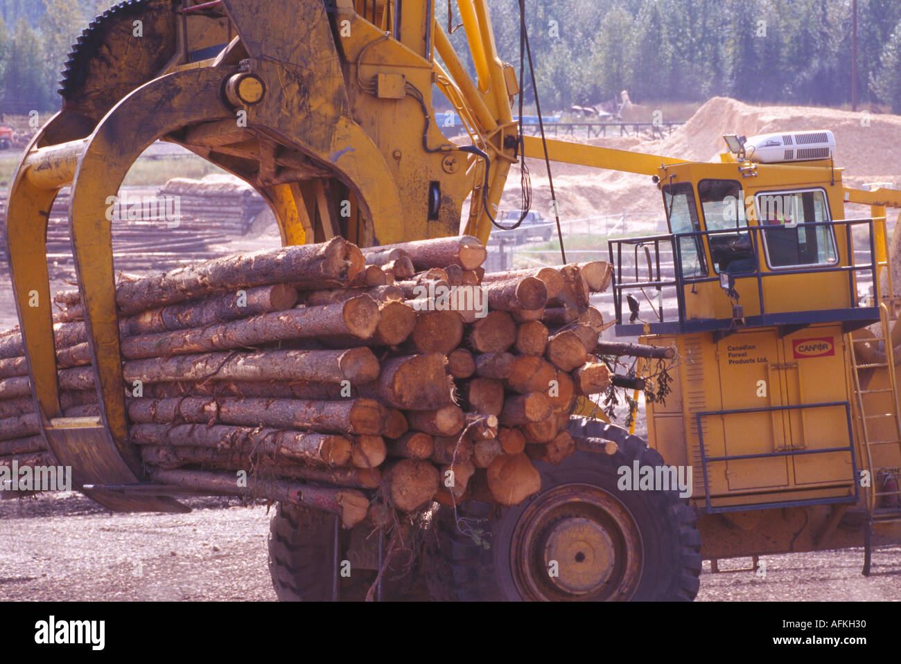 A Log Picker sorting Logs in a Log Yard near Chetwynd in Northern ...