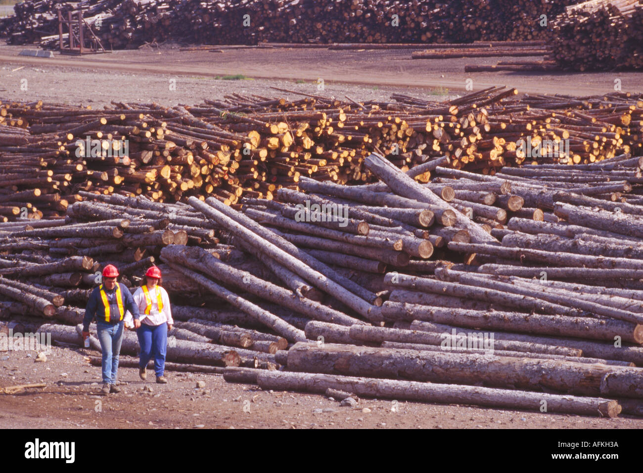 Log Sorting Yard High Resolution Stock Photography and Images - Alamy