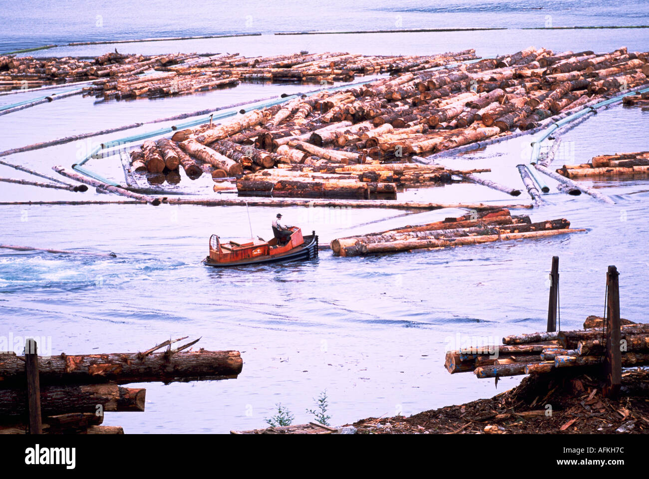 A Sidewinder sorting Logs into Booms at Beaver Cove Log Dump near ...