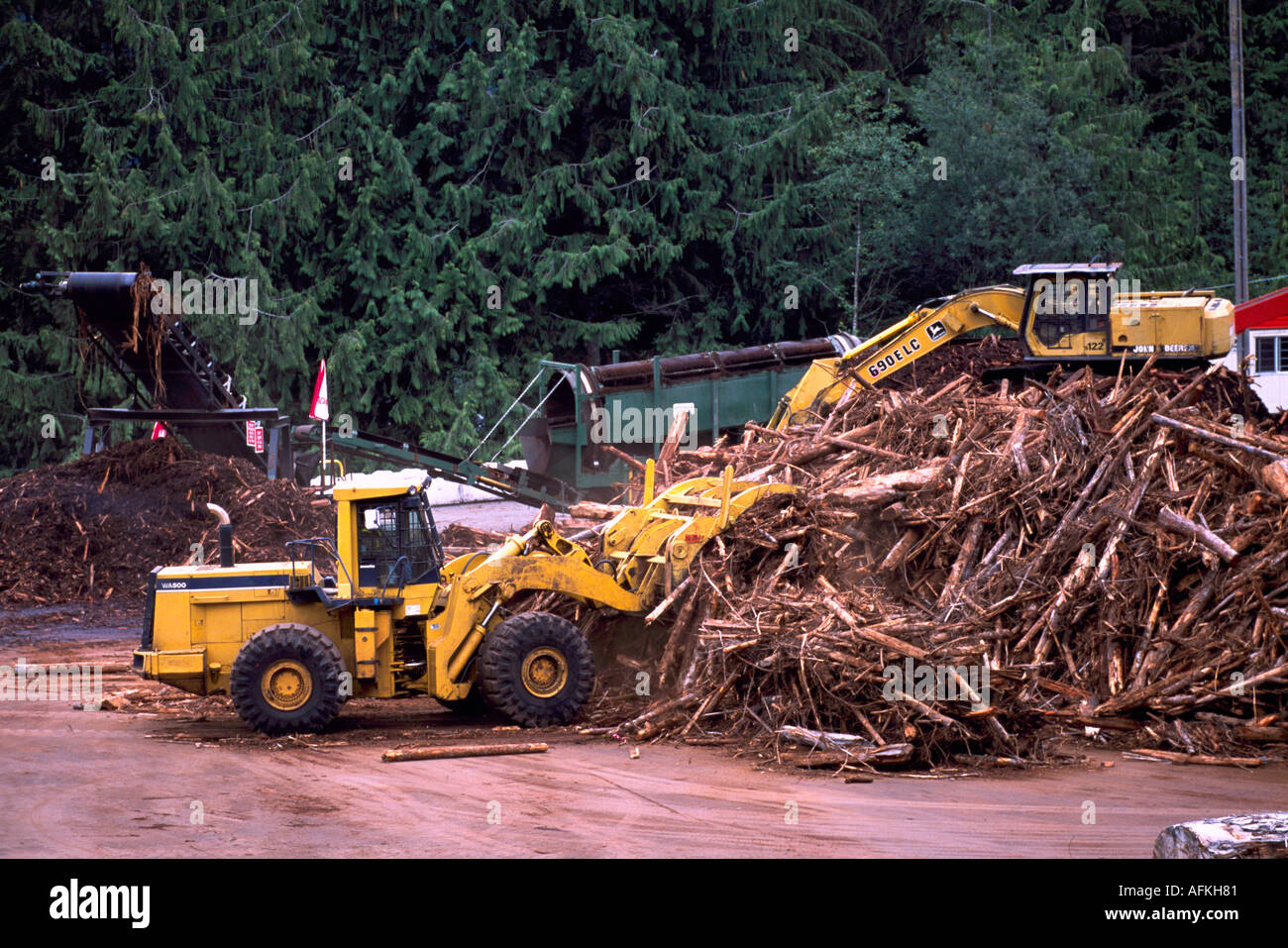Gathering Wood Waste for processing into Wood Chips at Beaver Cove on ...