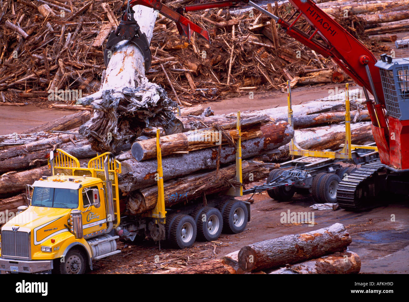 Unloading Poor Quality Logs for processing into Wood Chips at Beaver ...