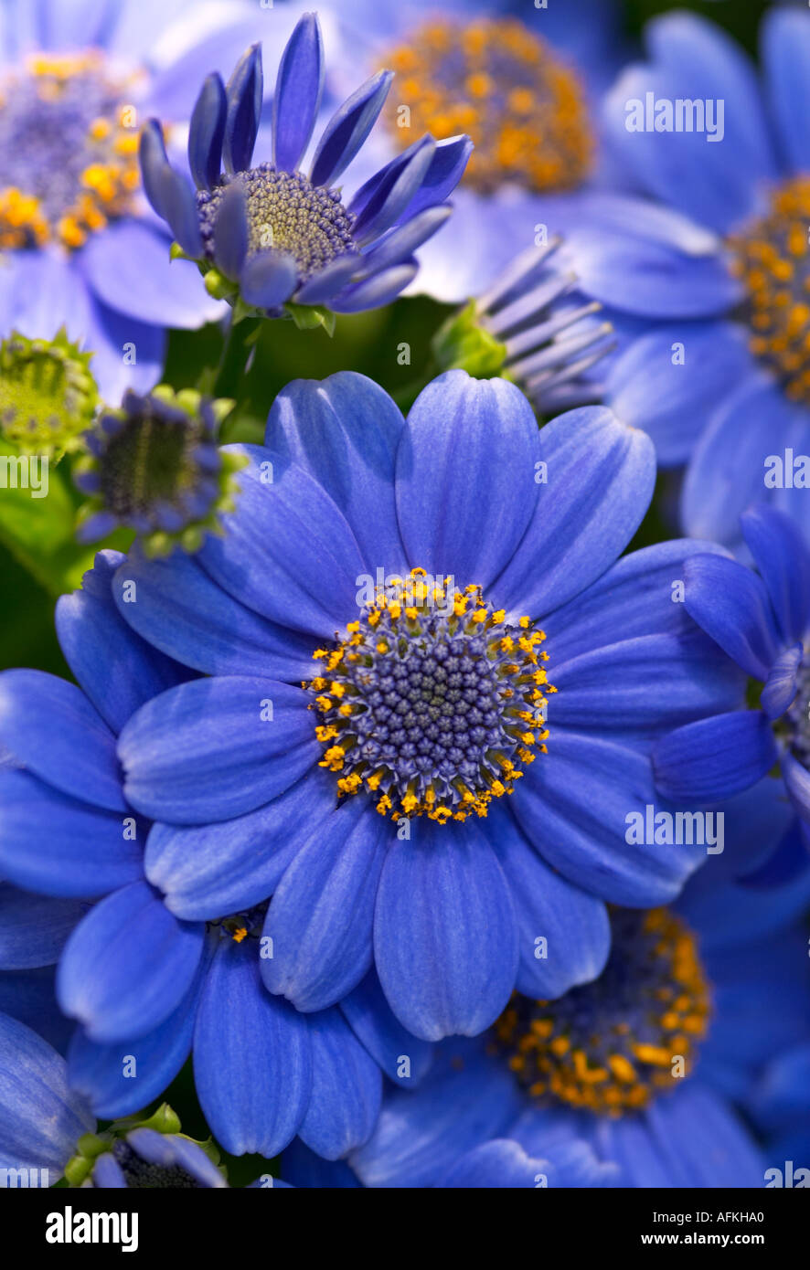 Living at mums hi-res stock photography and images - Alamy