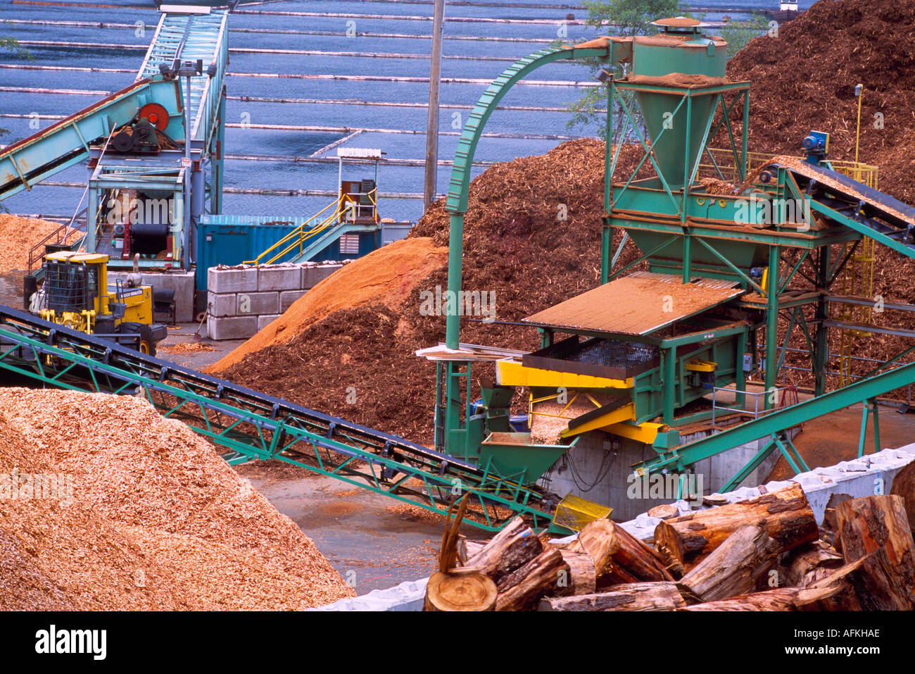 Wood Chips processed from Wood Waste and Poor Quality Logs at Beaver ...