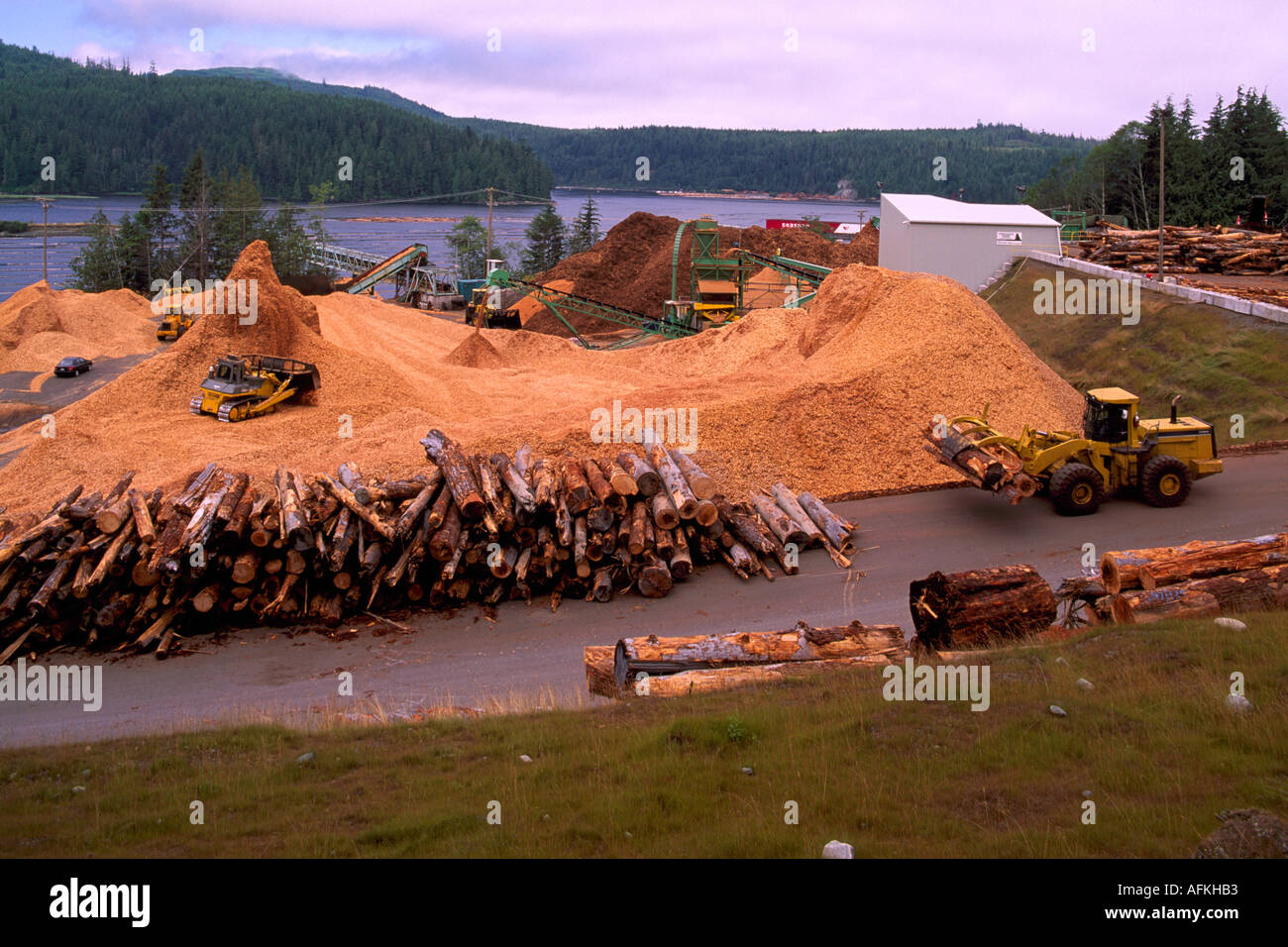 Wood Chips processed from Wood Waste and Poor Quality Logs at Beaver ...