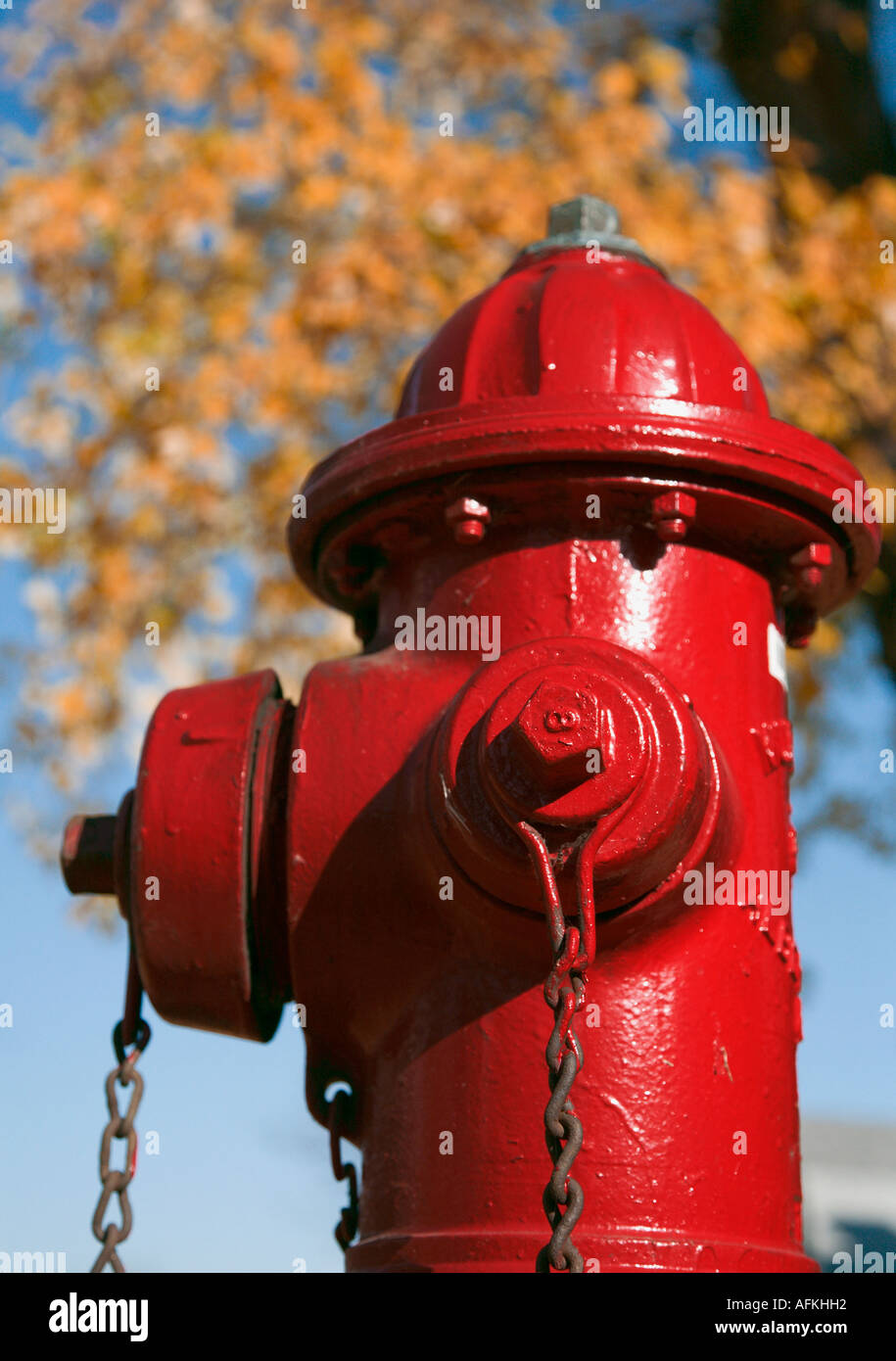 Standard fire hydrant hi-res stock photography and images - Alamy