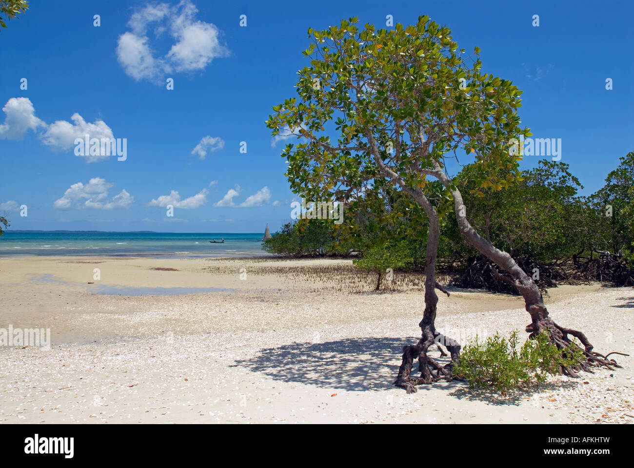 The main beach at Fundu Lagoon at low tide, Fundu Lagoon Resort, Pemba ...