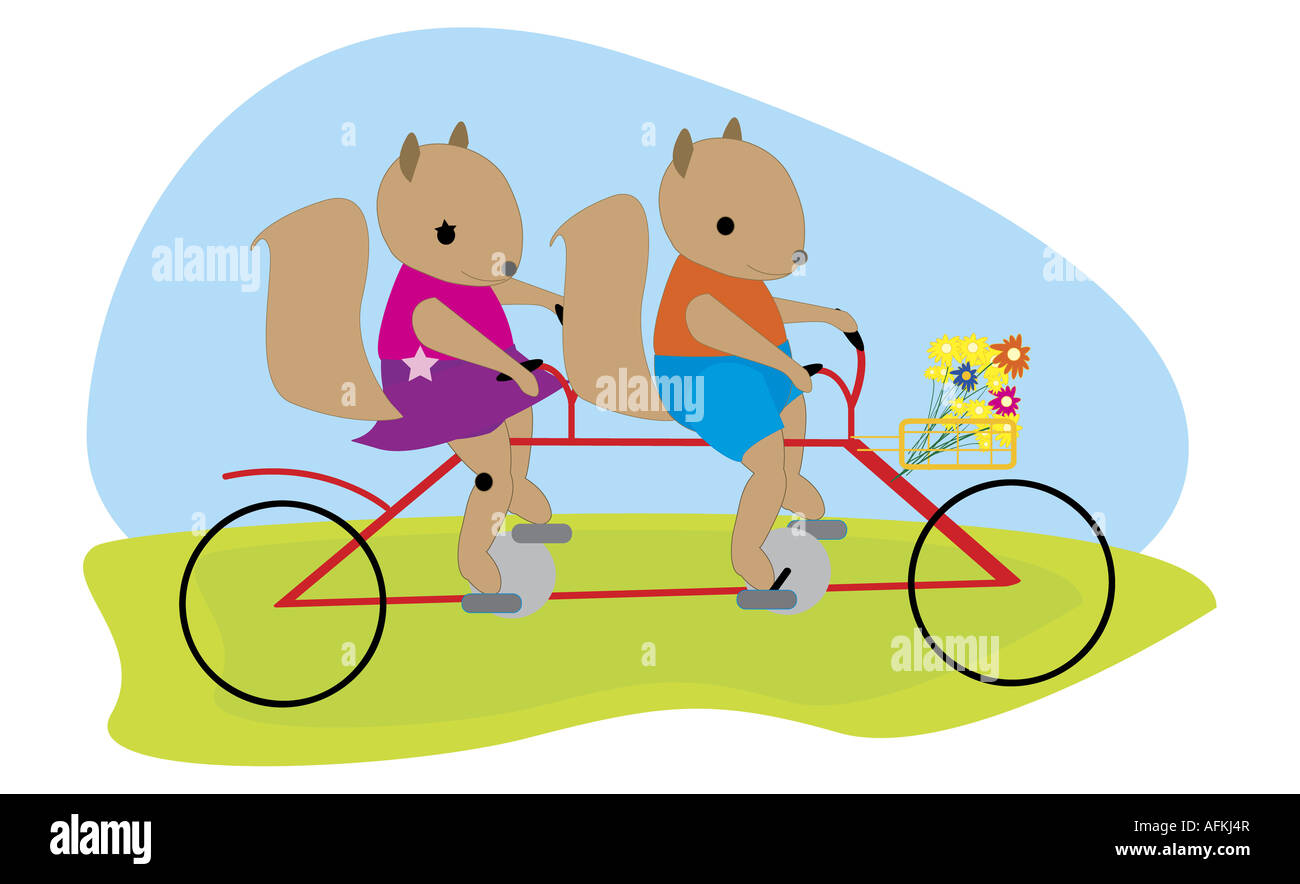 Male squirrel and female squirrel riding a bicycle Stock Photo - Alamy